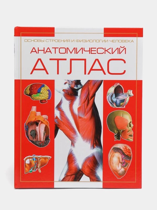 Книга Атлас анатомии человека, основы строения и физиологии