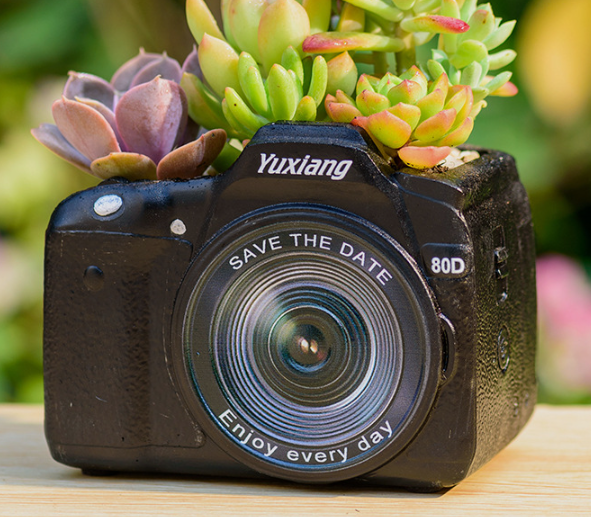 HAQI Декоративный цветочный горшок в виде камеры для суккулентов, комнатных растений | Уникальный подарок для фото- и растениеводов | Декор для дома, офиса, полки