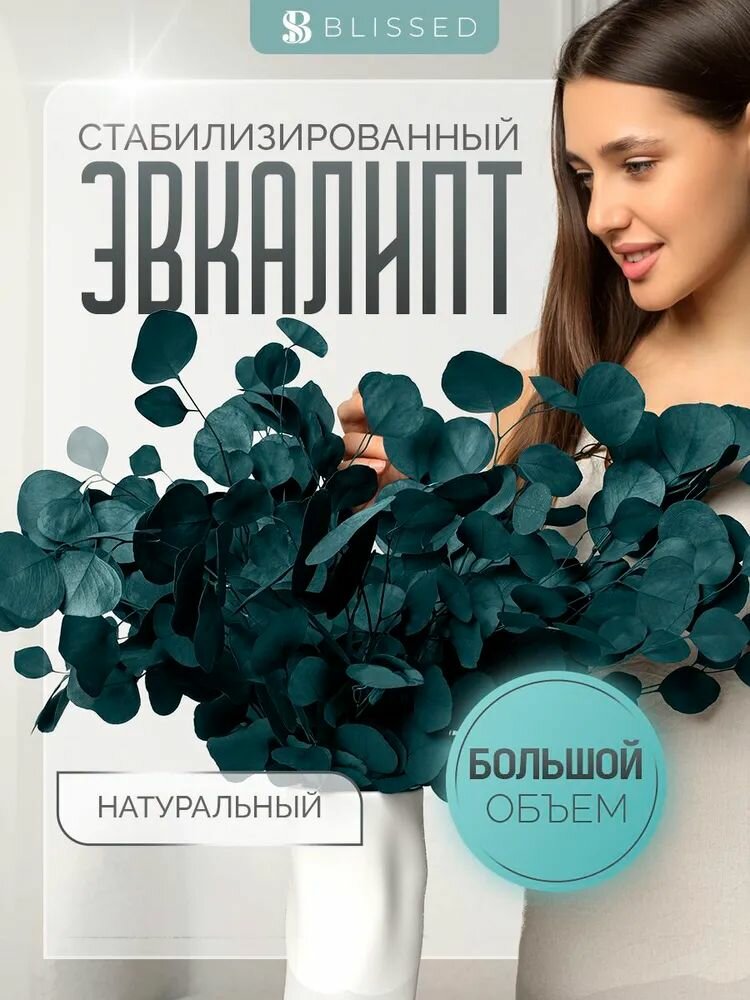 Сухоцветы для декора эвкалипт стабилизированный