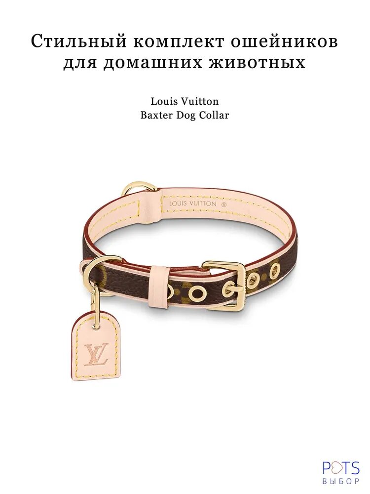 Стильный комплект ошейников для домашних животных Louis Vuitton Baxter dog collar set