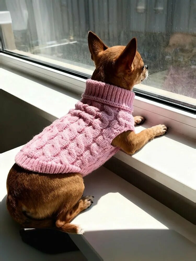 Теплые одежды для собак и кошек