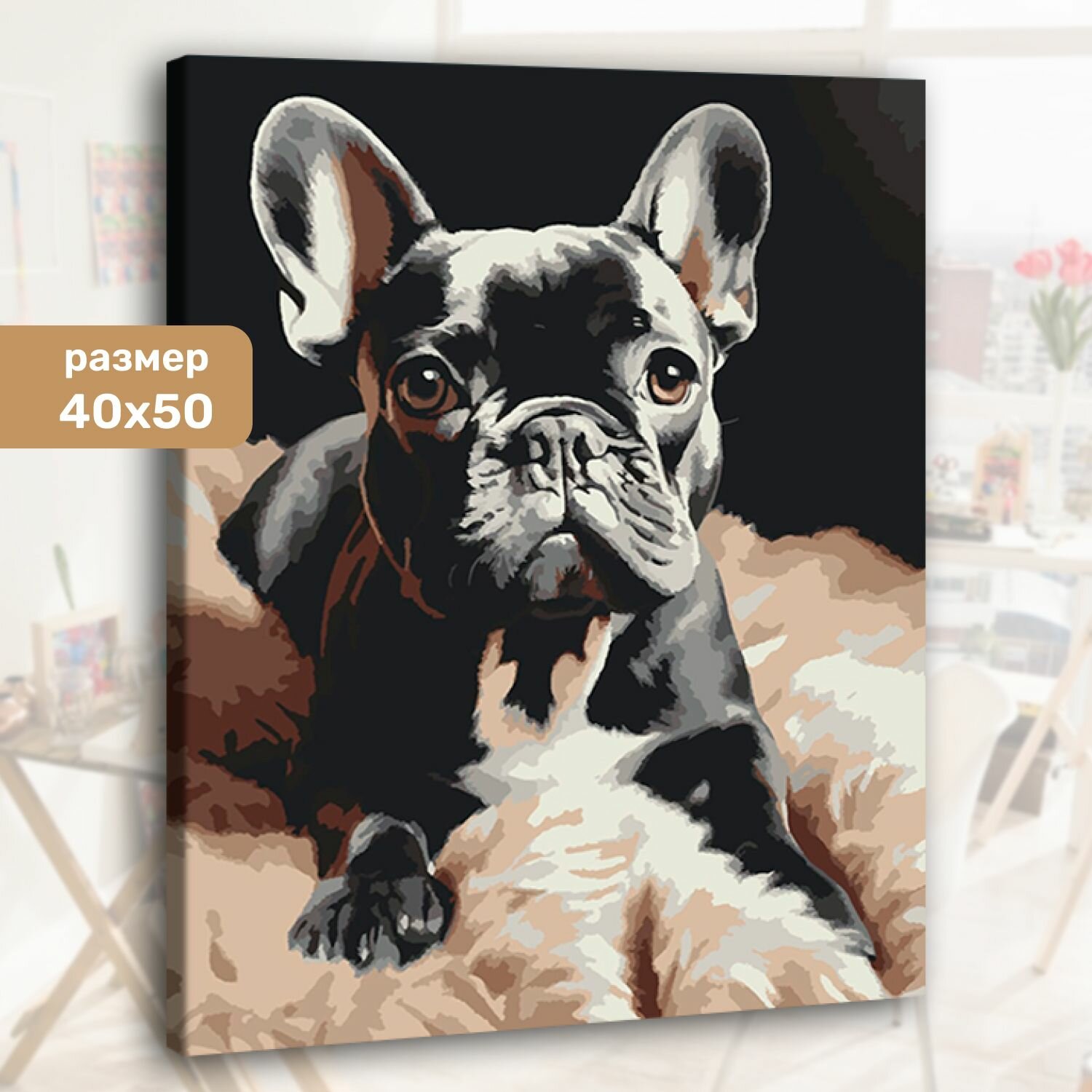 Картина по номерам, на холсте с подрамником 40х50, французский бульдог