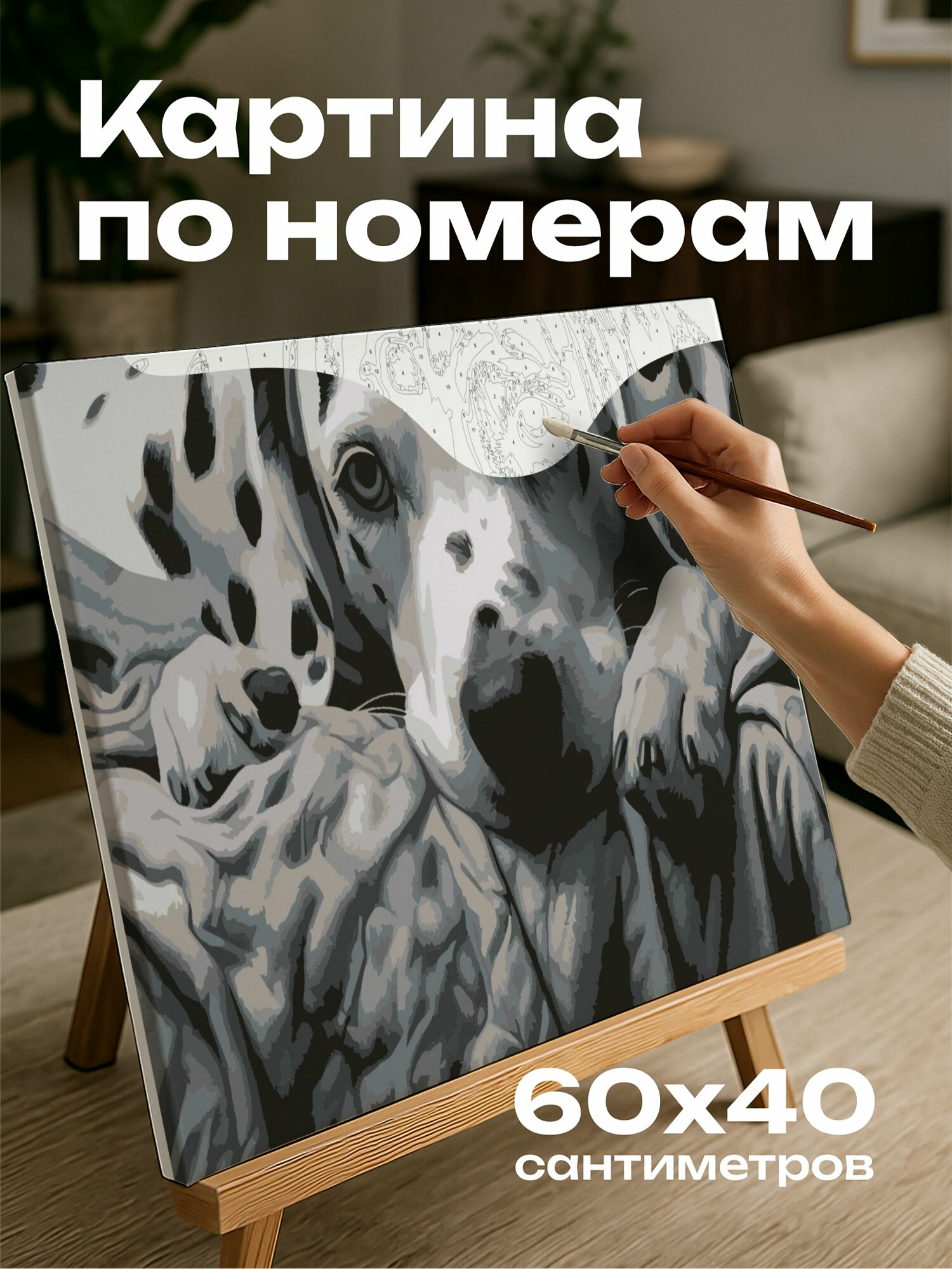 Картина по номерам 60x40 см, рисунок, графит, далматинец, калачиком, уютный уголок, мягкие оттенки, изящные линии