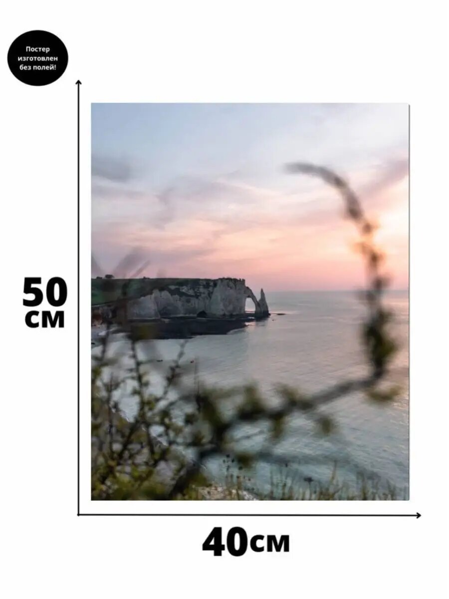 Постер Пляж лодка бриз дельфин море океан