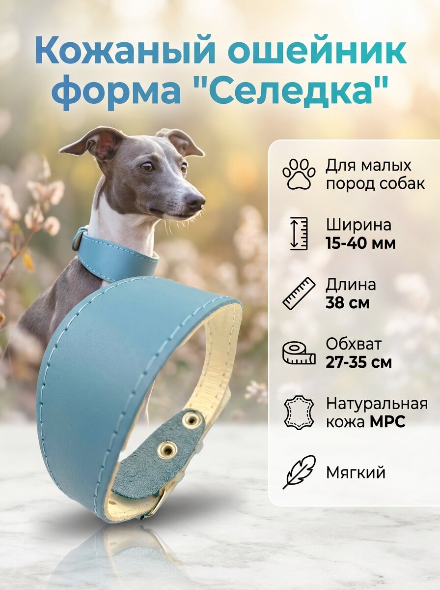 Ошейник "Селедка" из натуральной кожи.