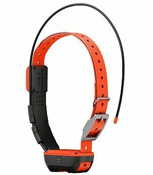 Ошейник Garmin Alpha T 20 EU-Nordic для охотничьих навигаторов