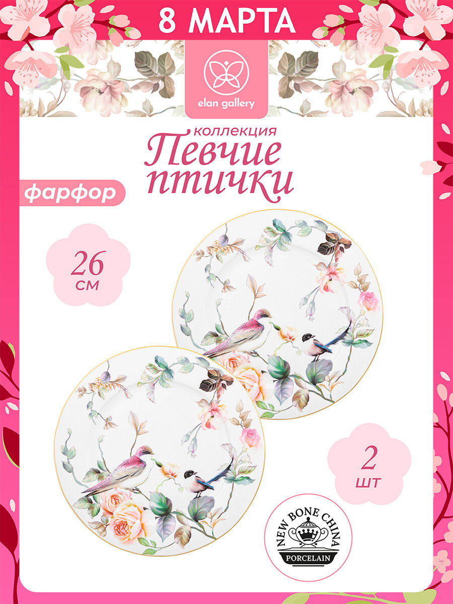 Набор 2-х тарелок 26,5х26,5х2 см Elan Gallery Певчие птички, фарфор
