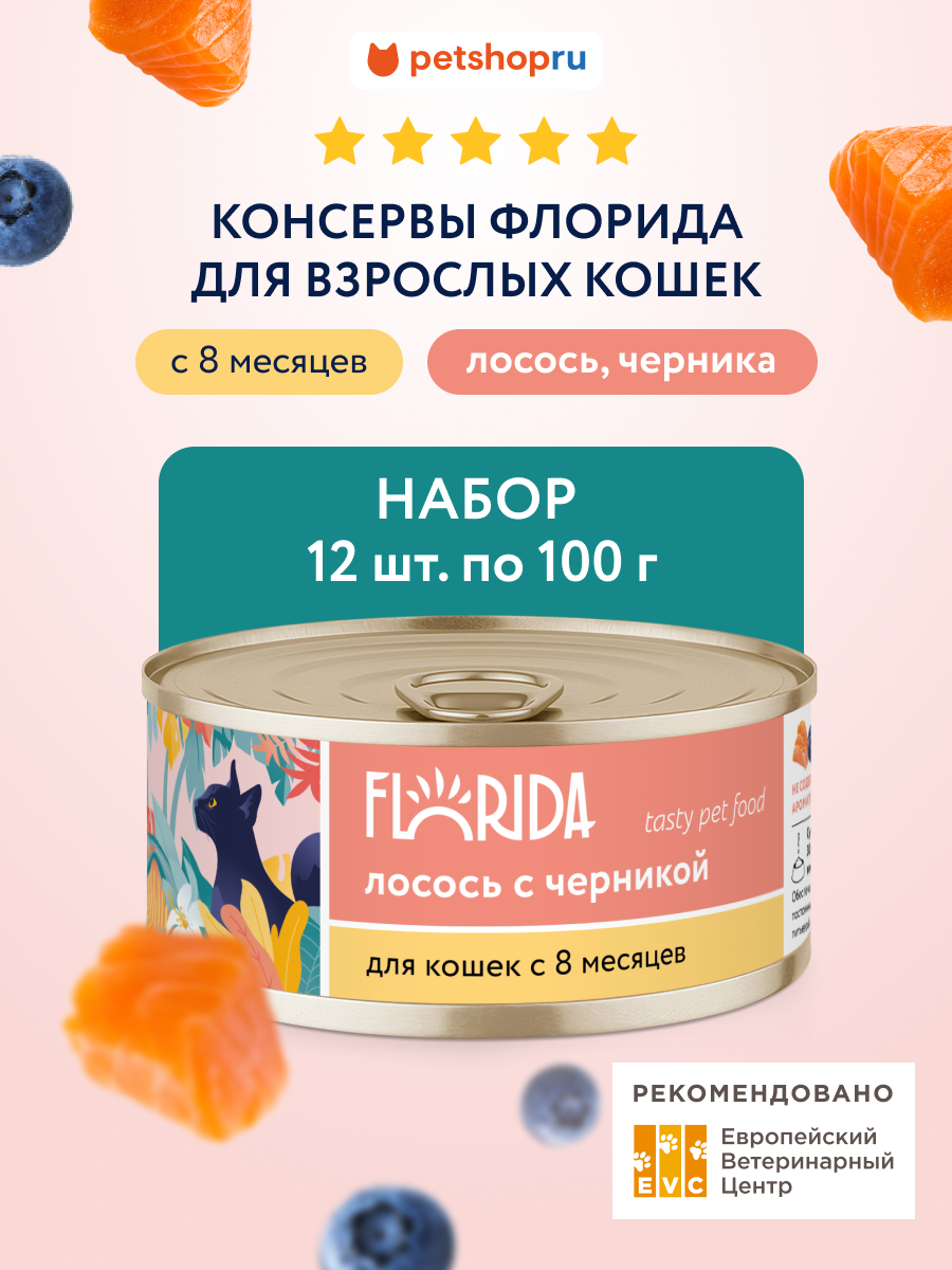 FLORIDAКонсервы для кошек, лосось с черникой, набор 12 шт по 100 г, влажный корм, 1,2 кг