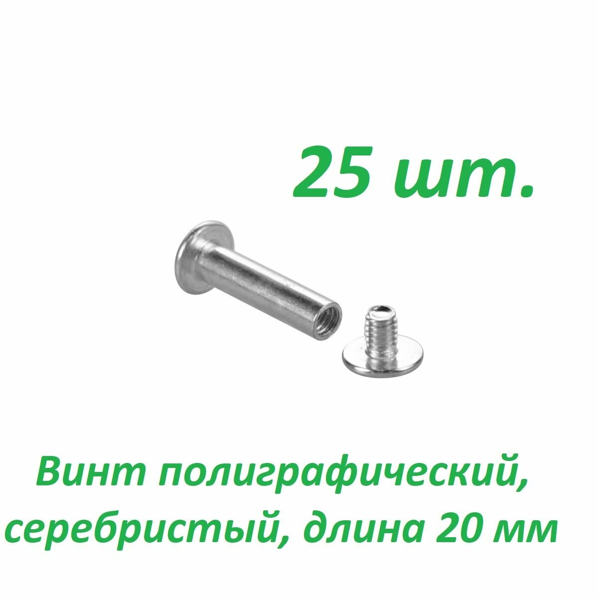 Болты/Винты 20мм полиграфические металл серебро, 25шт
