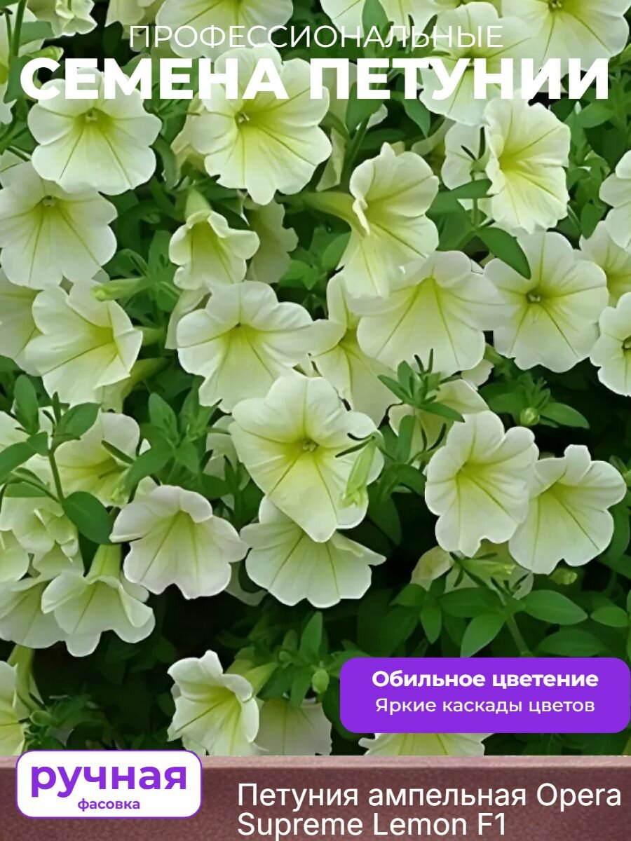 Семена петунии ампельной "Opera Supreme Lemon"3 драже TAKII, для вертикального озеленения.