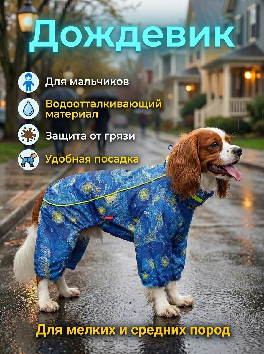 Дождевик для собак мальчиков (мелкие и средние породы)
