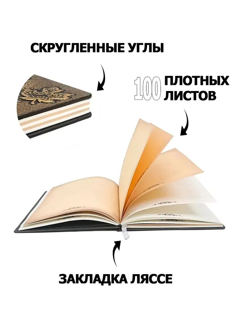 Блокнот A5 Vilenia, 100 листов, кожаный подарочный недатированный в линию "Сова" — фото 1