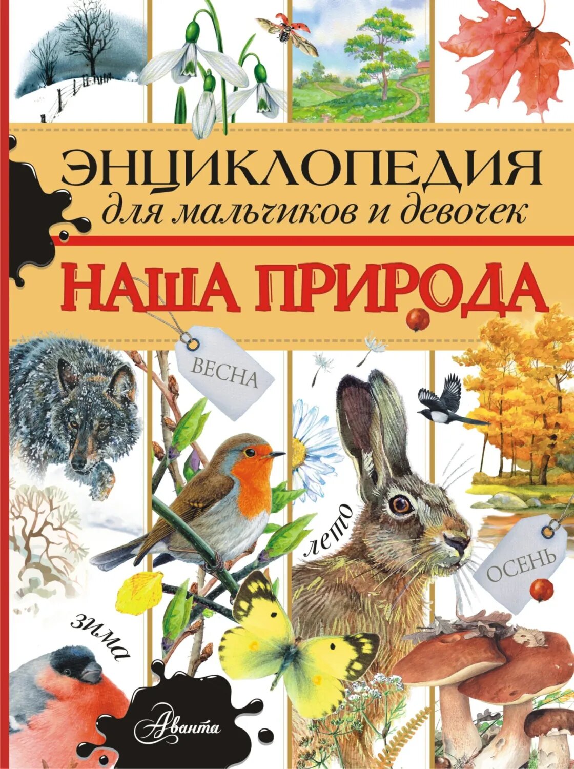 Энциклопедия для мальчиков и девочек. Наша природа [Цифровая книга]