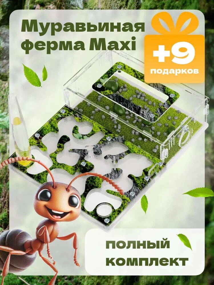 Муравьиная ферма Maxi. Полный комплект. Для новичков и опытных. Размер 140*180*50 мм