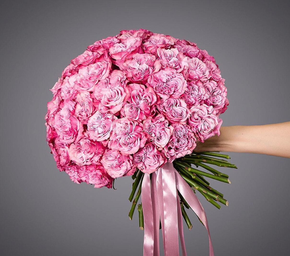 Монобукет из пионовидной Розы "Country Blues" 49 шт. под ленту “Premium”