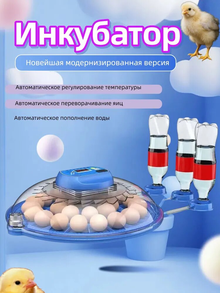 26 полностью автоматических бытовых инкубаторов для яиц