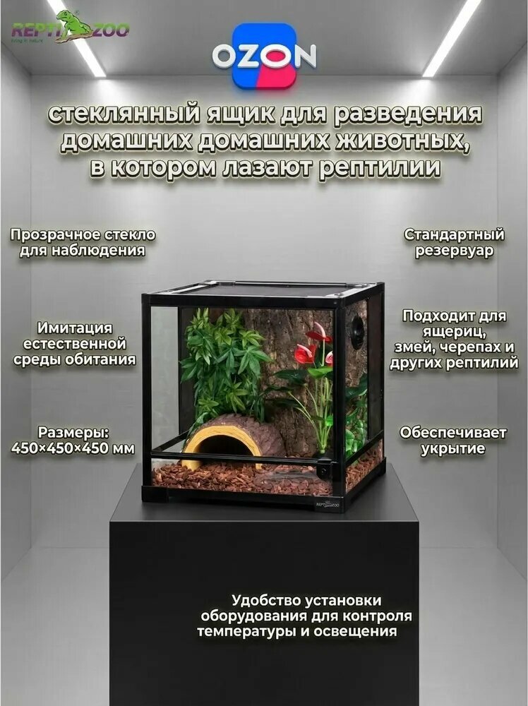 Стеклянный ящик для разведения домашних животных reptizoo climbing (45x45x45 см)