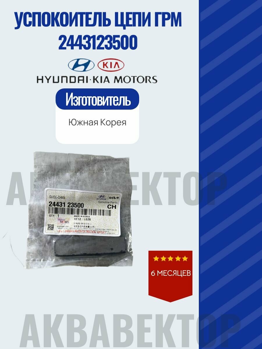 Успокоитель цепи ГРМ Hyundai/KIA 2443123500