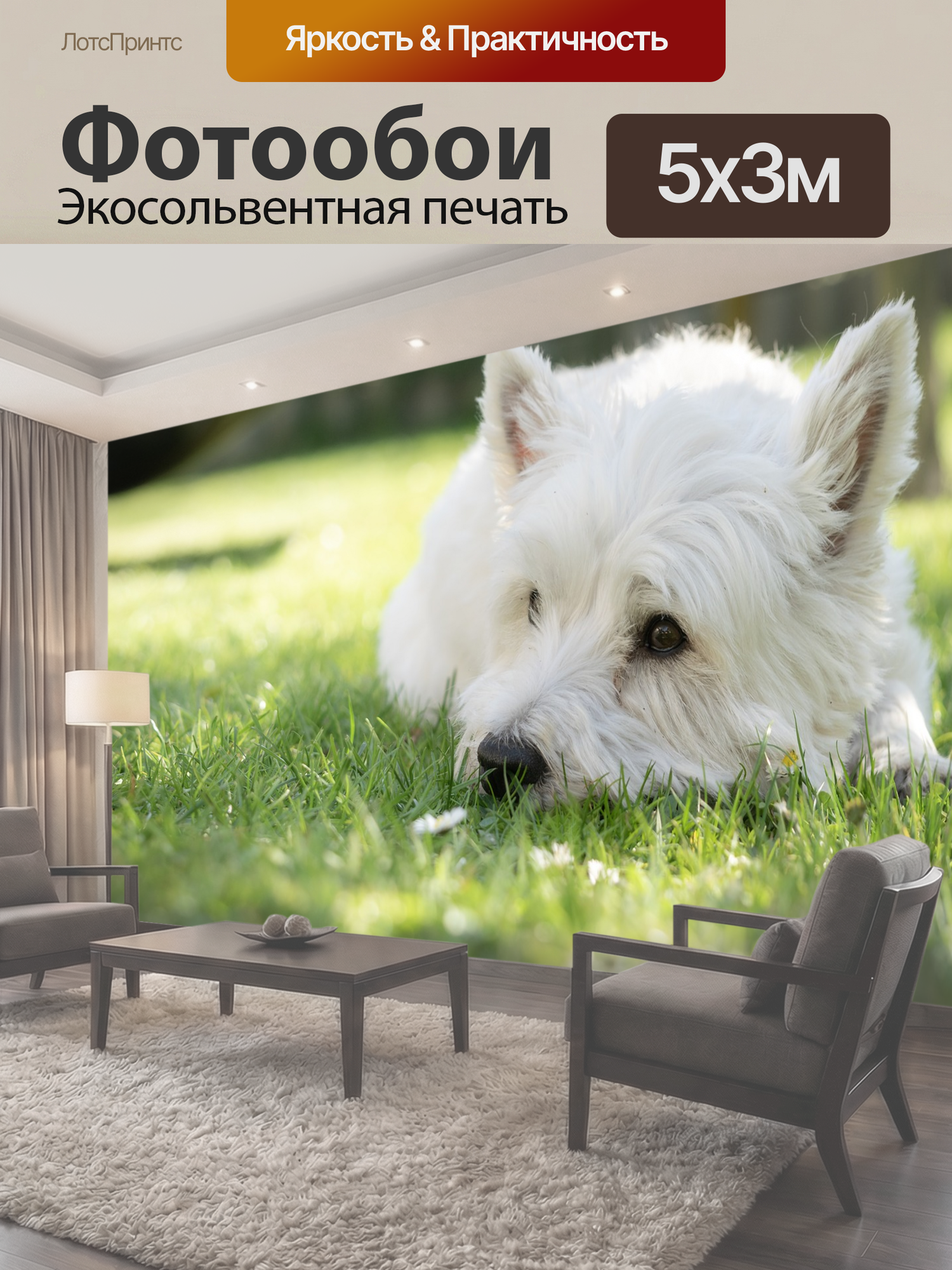 Фотообои "Собака, вести, терьер" 500x300 см. экосольвентная печать