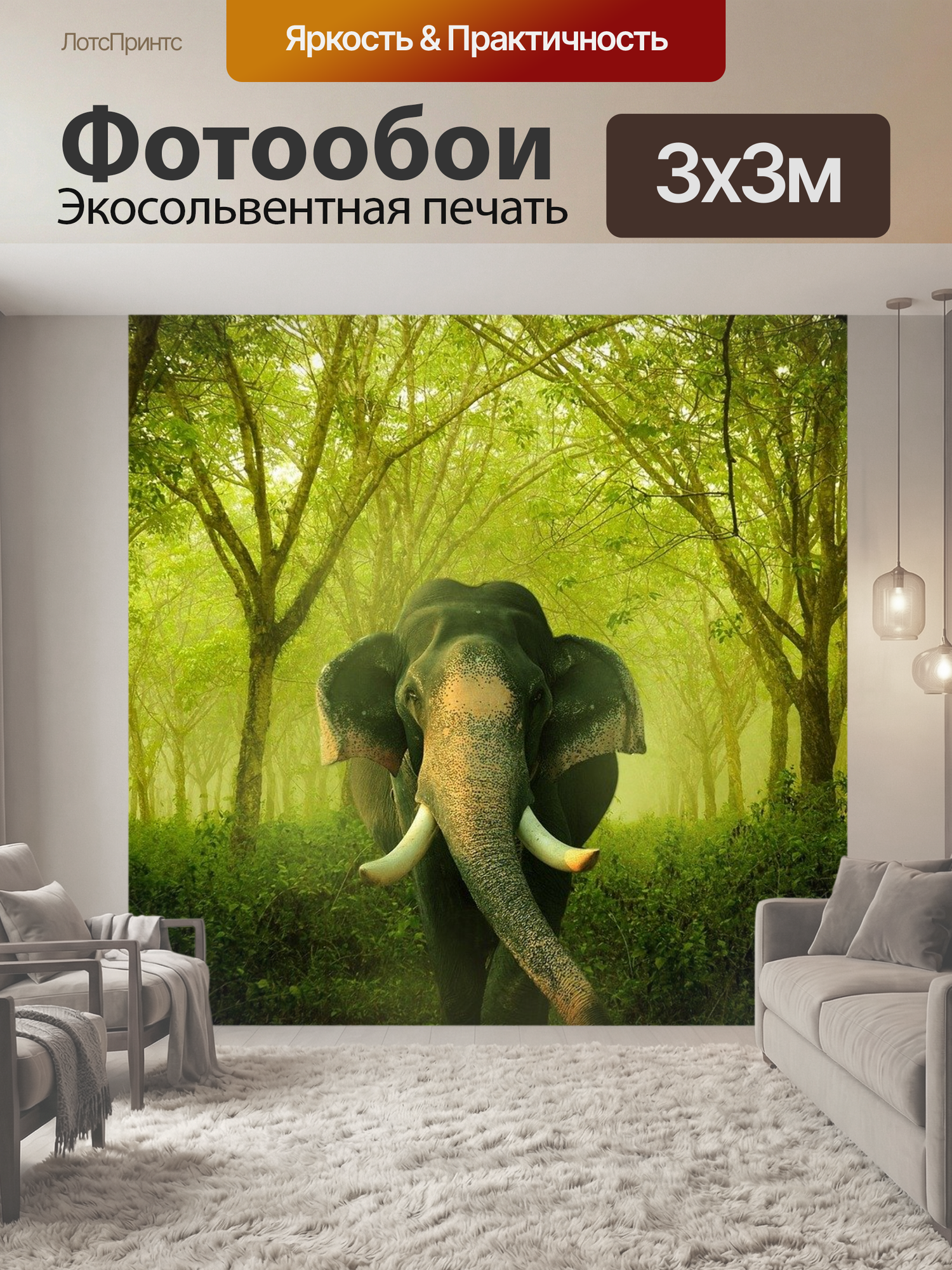 Фотообои "Слон, индийский, азия" 300x300 см. экосольвентная печать