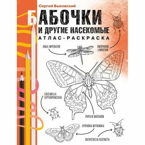 Атлас-раскраска Времена Бабочки и другие насекомые, научный подход, С. А. Быковский, 2025, 112 стр