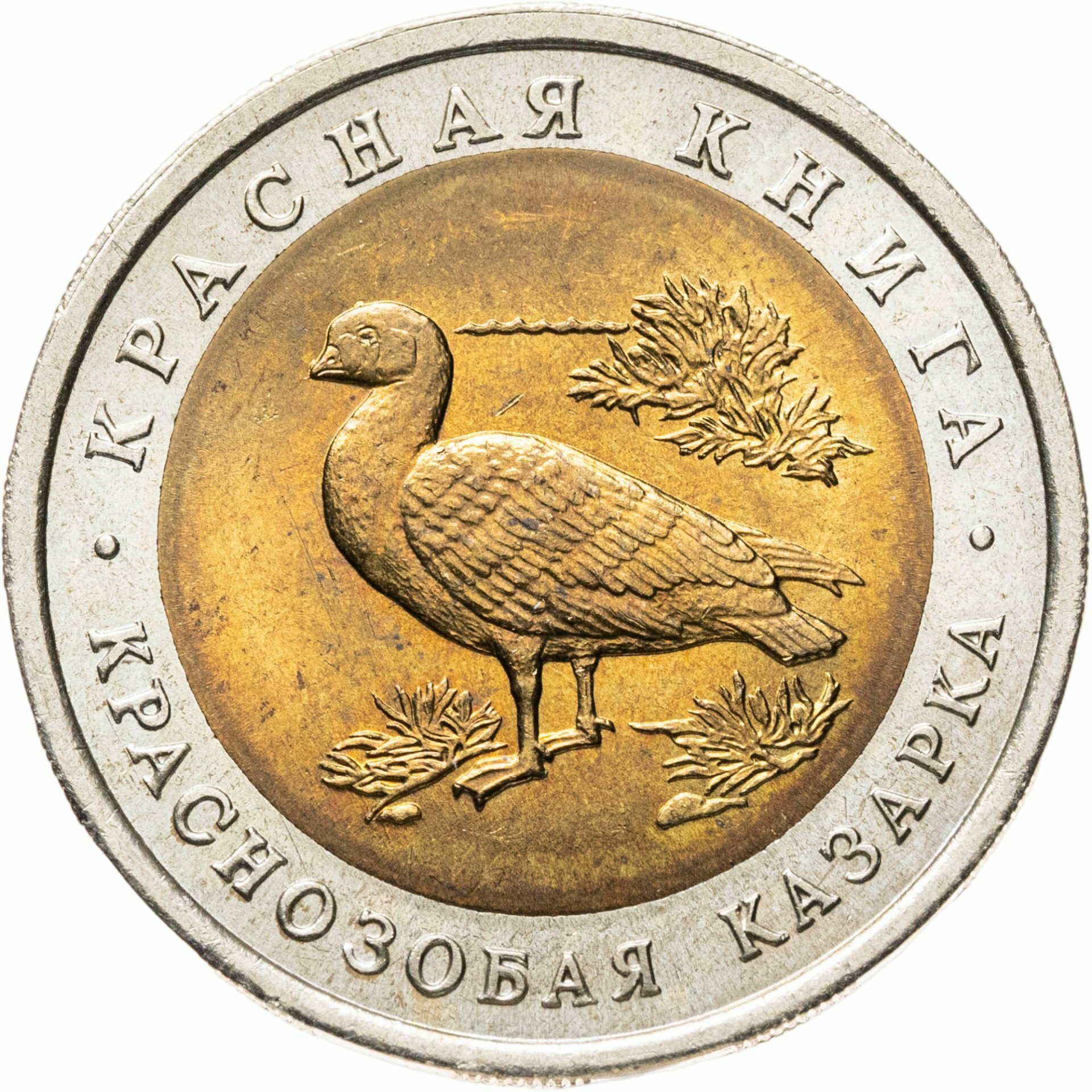 10 рублей 1992 ЛМД Краснозобая казарка, Биметалл, в сохранности AU-UNC