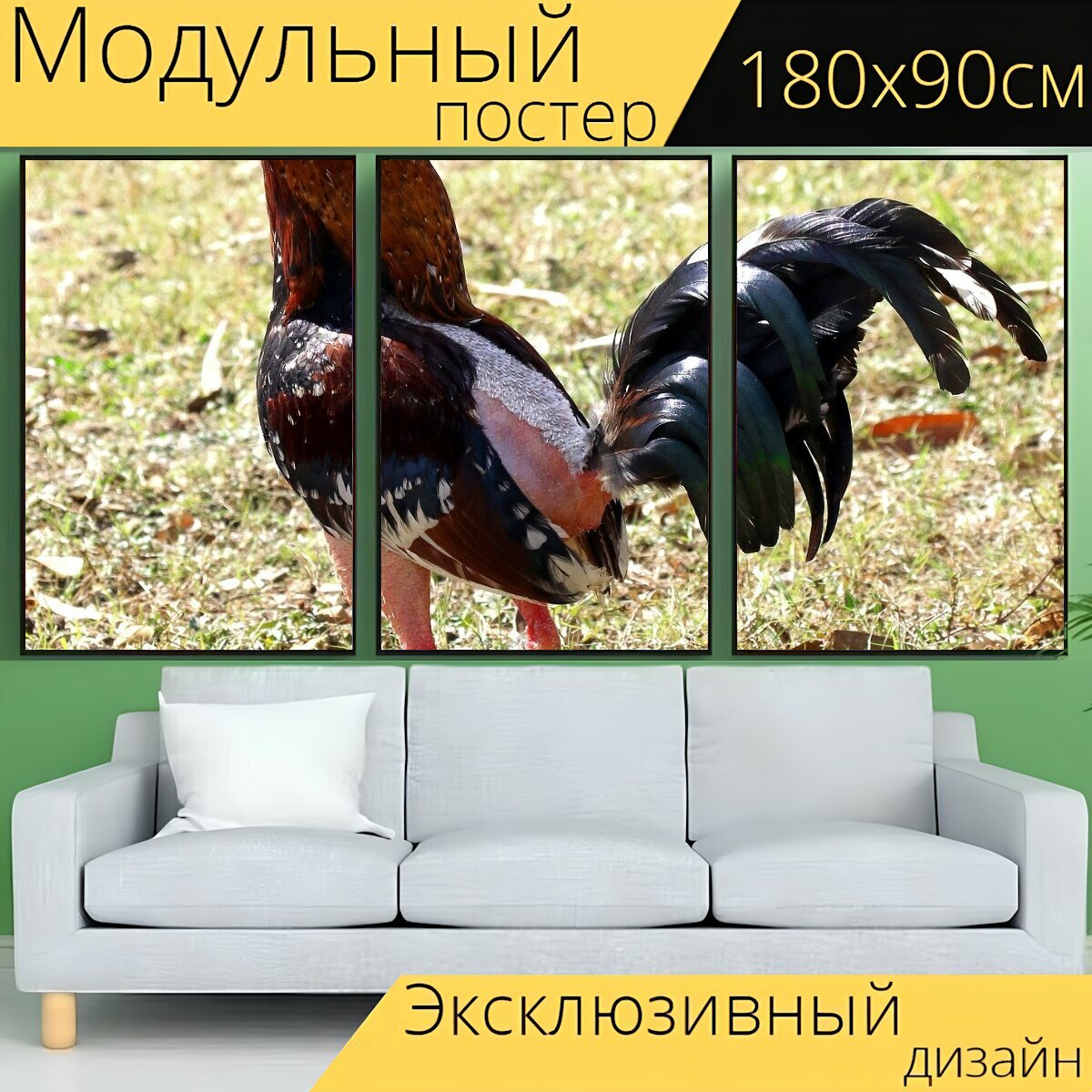 Модульный постер "Куба, петух, курица" 180 x 90 см. для интерьера на стену в тубусе