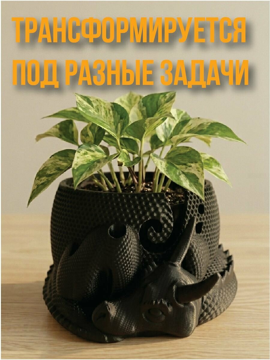 Дракон-клубочница — фото 1