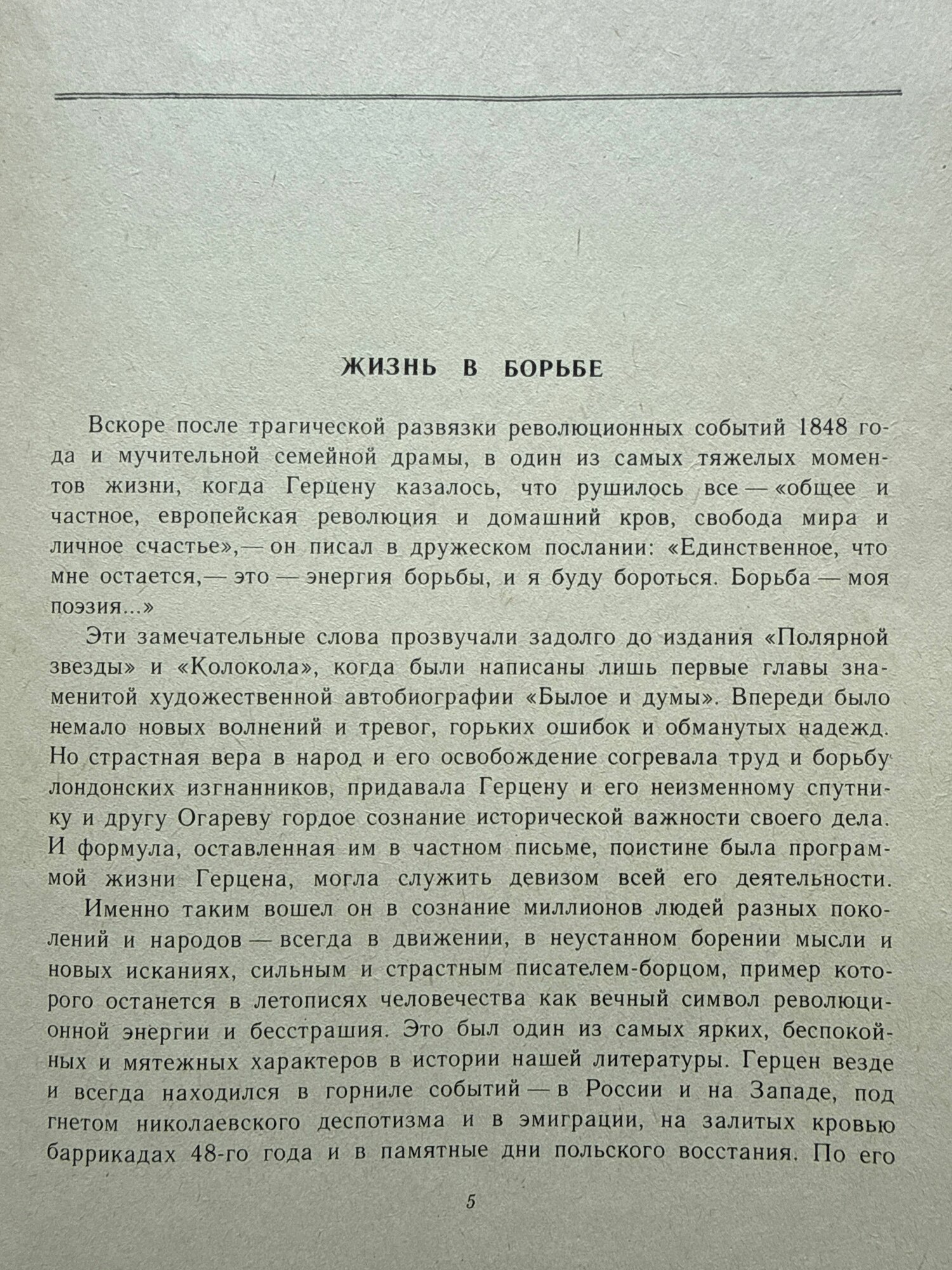Сорока-воровка — фото 1