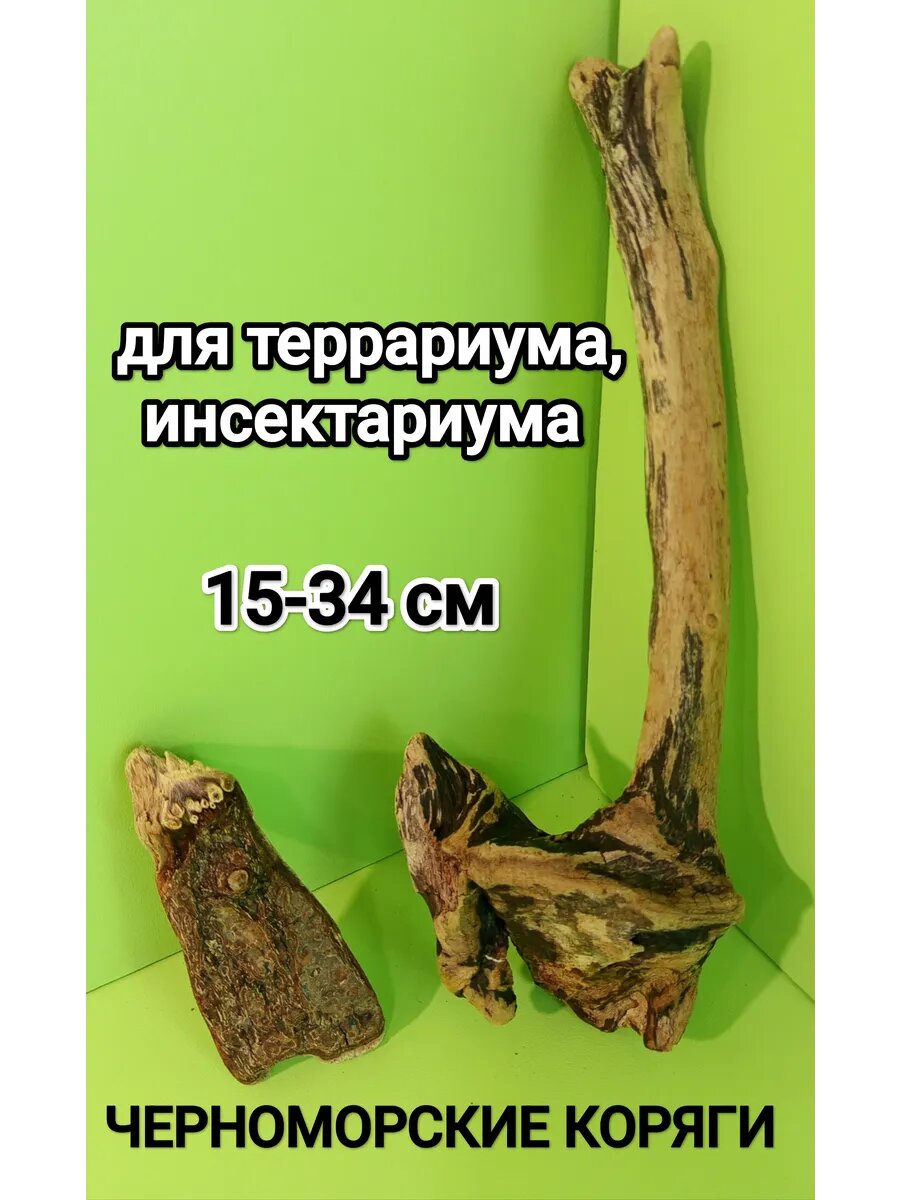 Коряги черноморские для террариума, инсектариума
