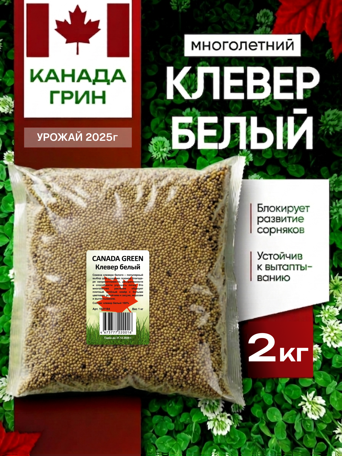 Белый клевер семена, ползучий низкорослый 2 кг