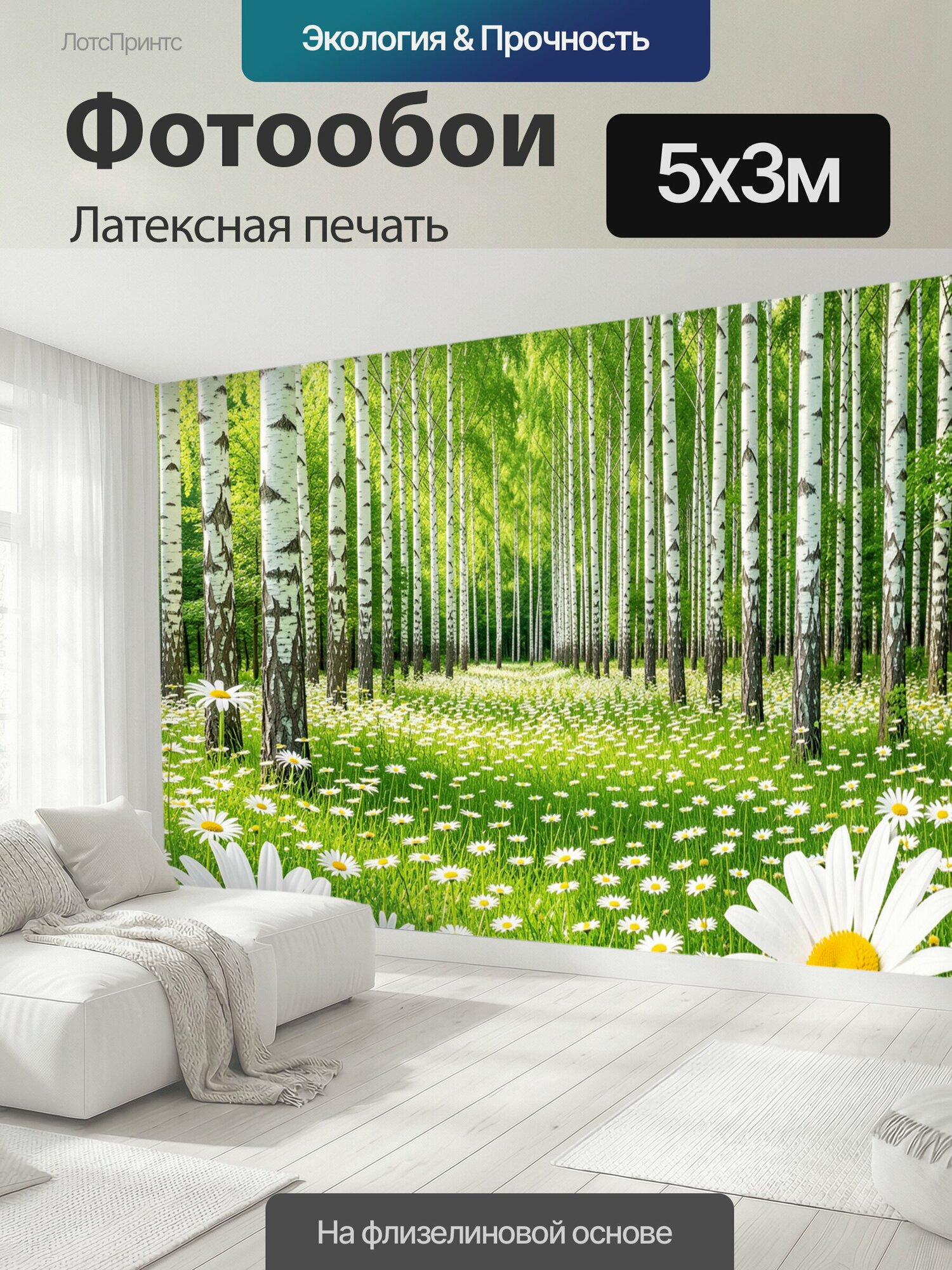 Фотообои моющиеся ударопрочные "Берёзовая роща с ромашками. Светлый весенний лес с высокими белоствольными деревьями и густым ковром полевых." 500x300 см. латексная печать