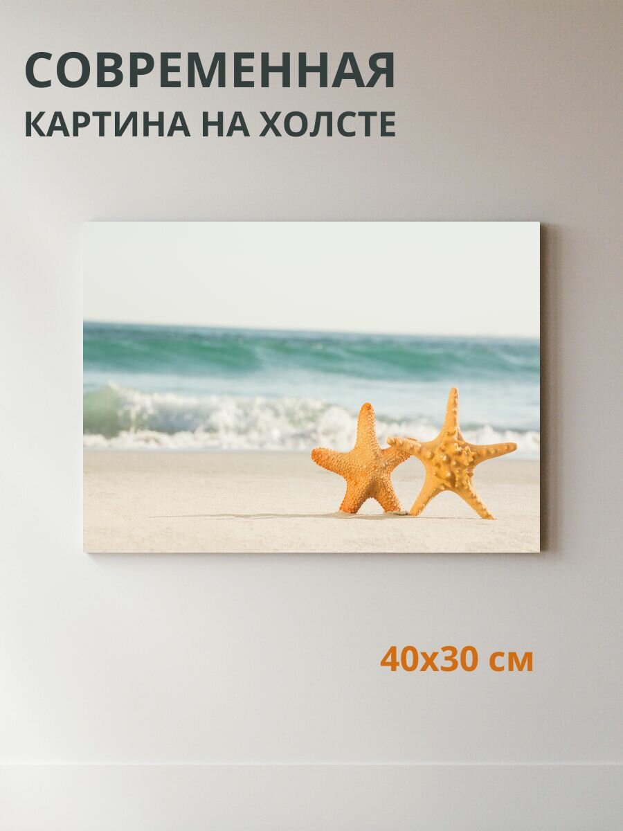 Картина на холсте Сюжет с двумя морскими звёздами 40x30 см