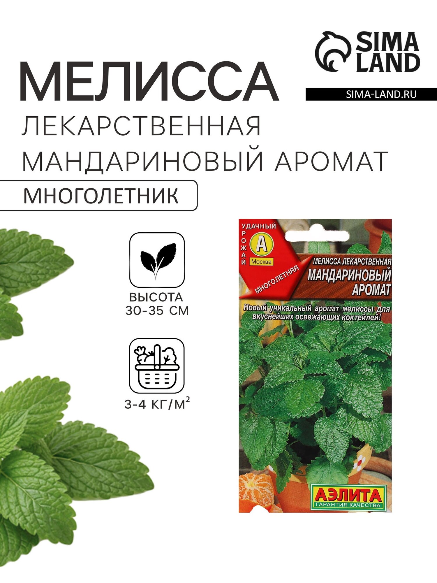 Семена Мелисса лекарственная «Мандариновый аромат», 5 шт, «Аэлита»