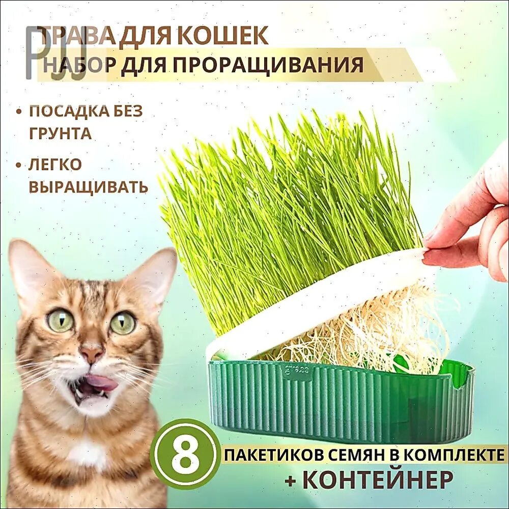 Миска для кошек с семенами травы / Трава для кошек / Лоток для выращивания микрозелени + 8 упаковок с семенами
