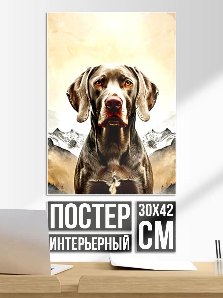 Постер на стену Веймаранер в белых горах