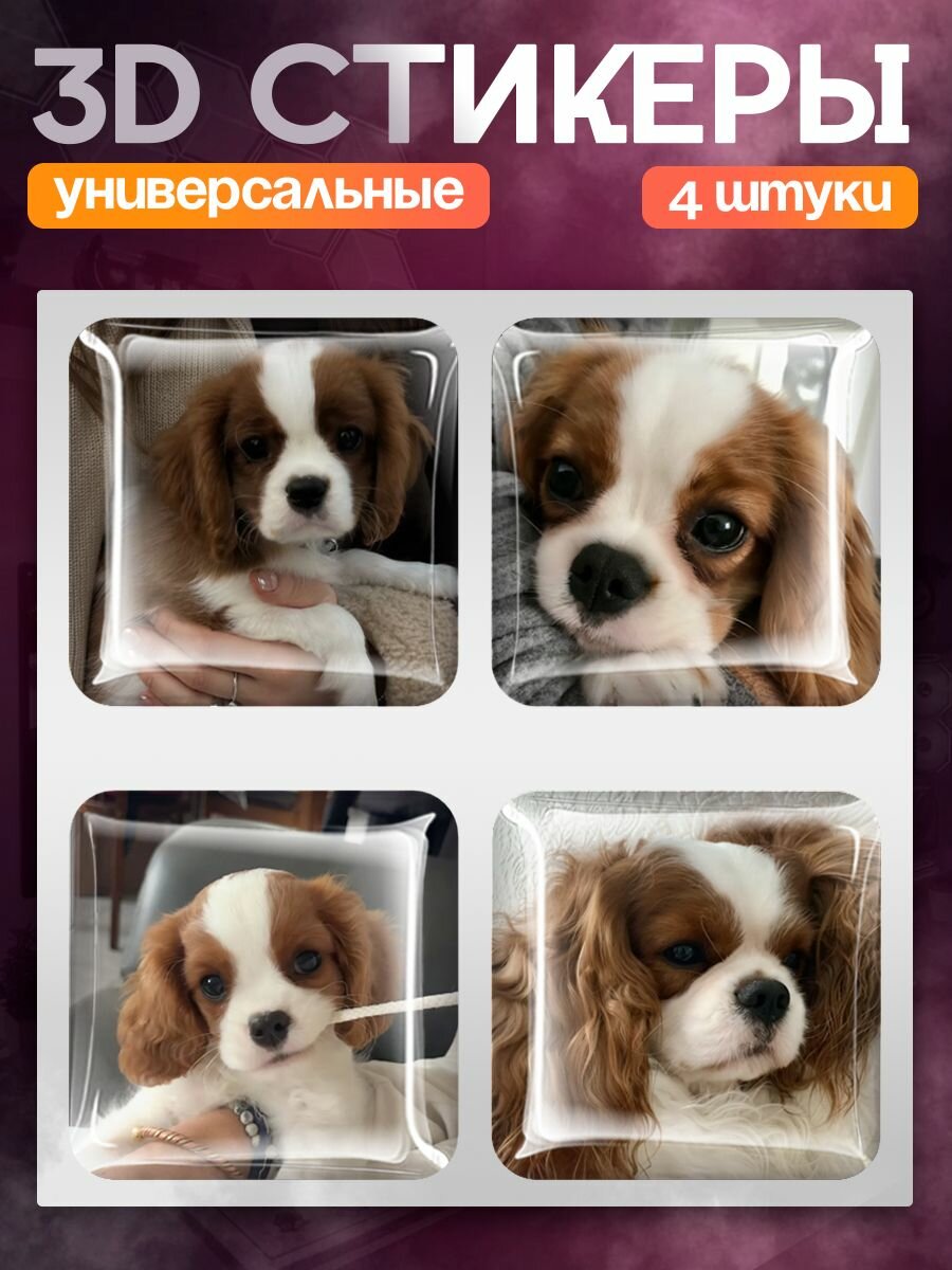 Наклейки на телефон 3д кавалер кинг чарльз собака