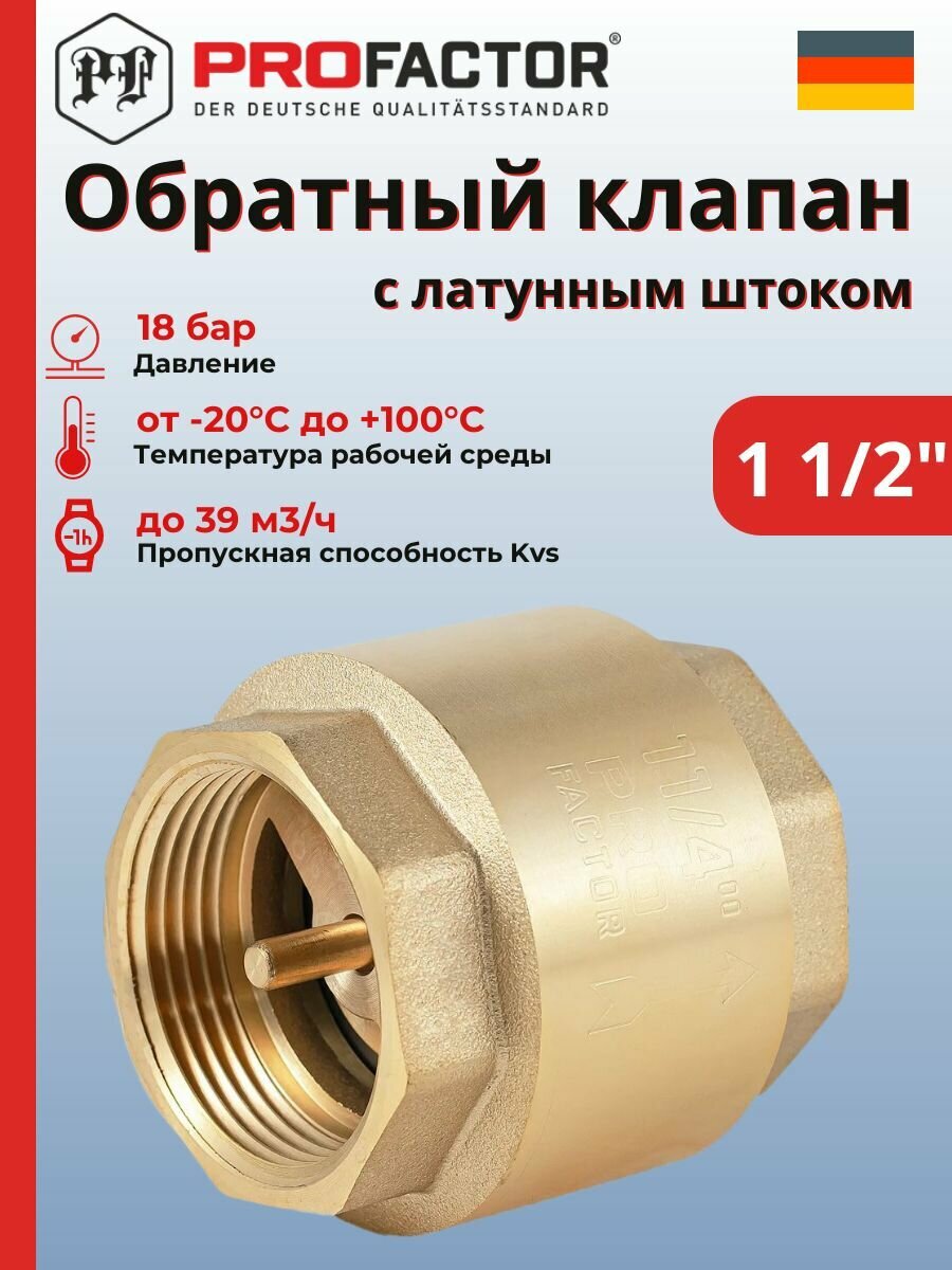 Обратный клапан 1 1/2 с латунным сердечником Profactor PF244