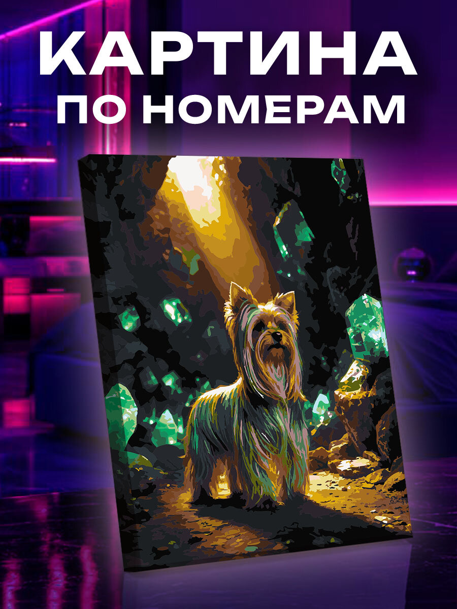 Картина по номерам Йоркширский терьер в кристальной пещере