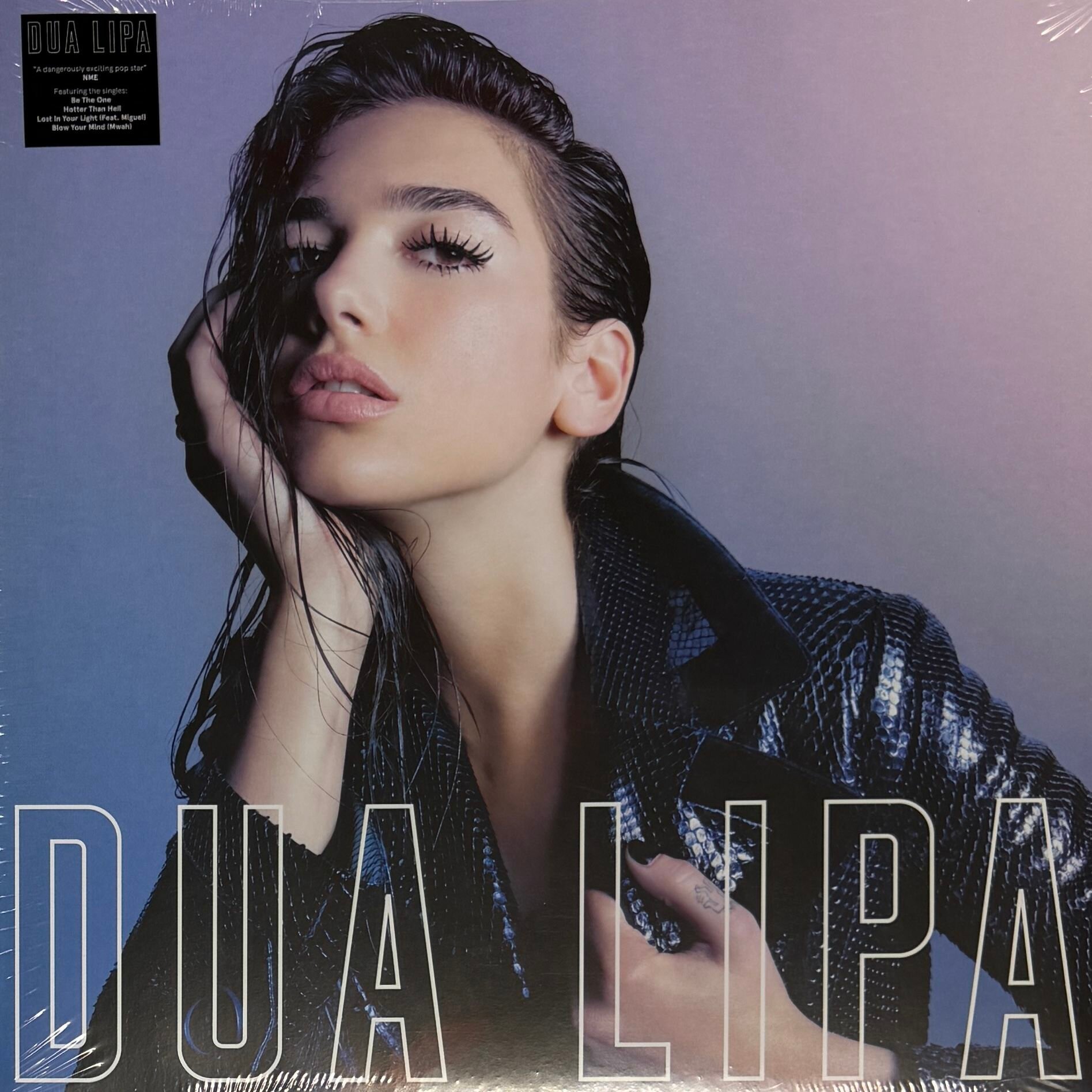 Виниловая пластинка Dua Lipa Dua Lipa (Чехия 2019г.)