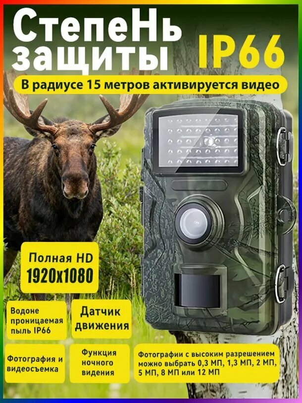 Фотоловушка