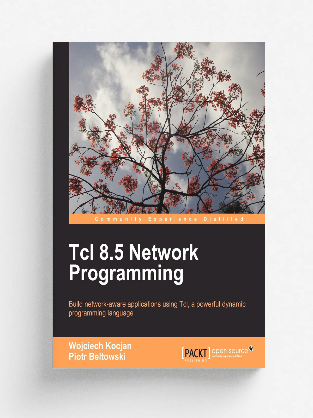 TCL 8.5 Network Programming