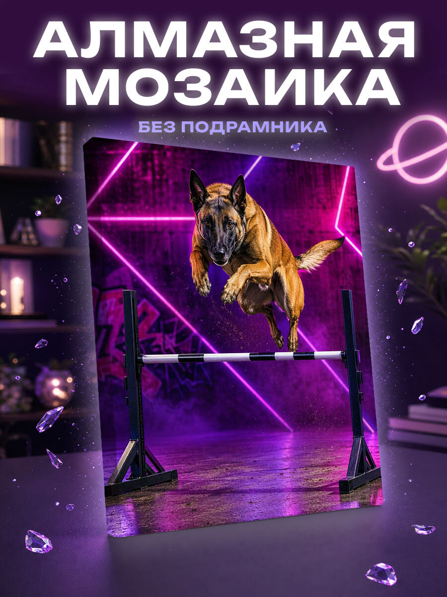 Алмазная мозаика Малинуа в прыжке на спортивном корте