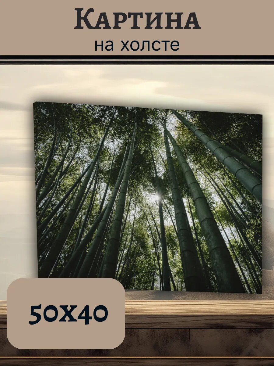Картина Япония Japan 40x50 бамбуковая роща