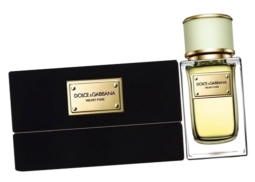 Аромат Dolce & Gabbana Velvet Pure для женщин 50 мл / Дольче Габбана Вельвет Пюре Чистый Бархат