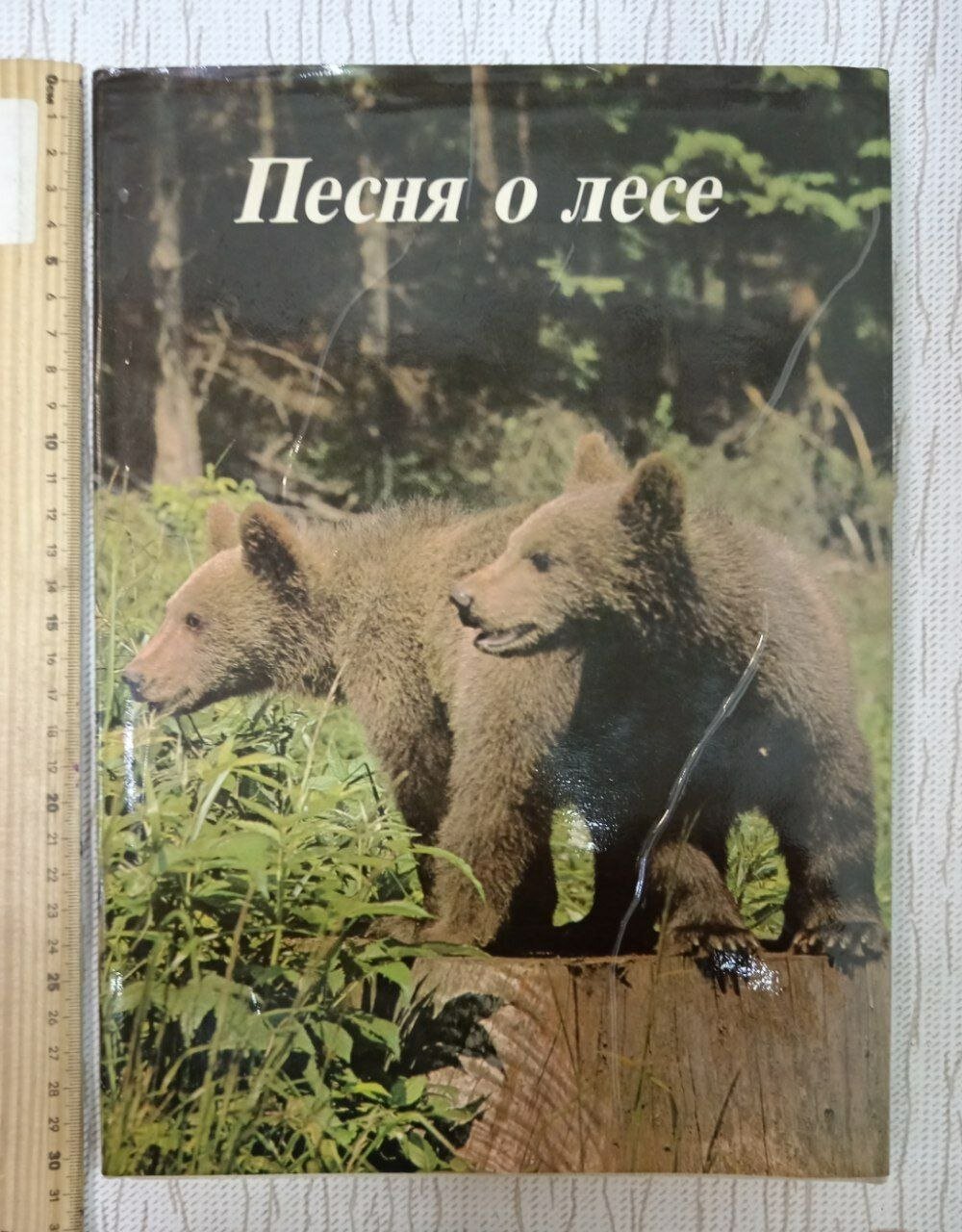 Песня о лесе. Валек Мирослав