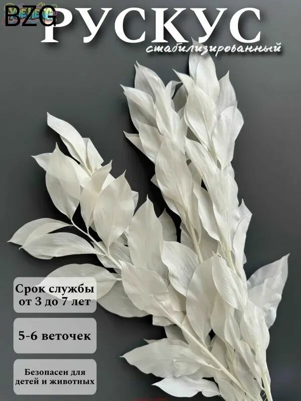 Стабилизированные цветы