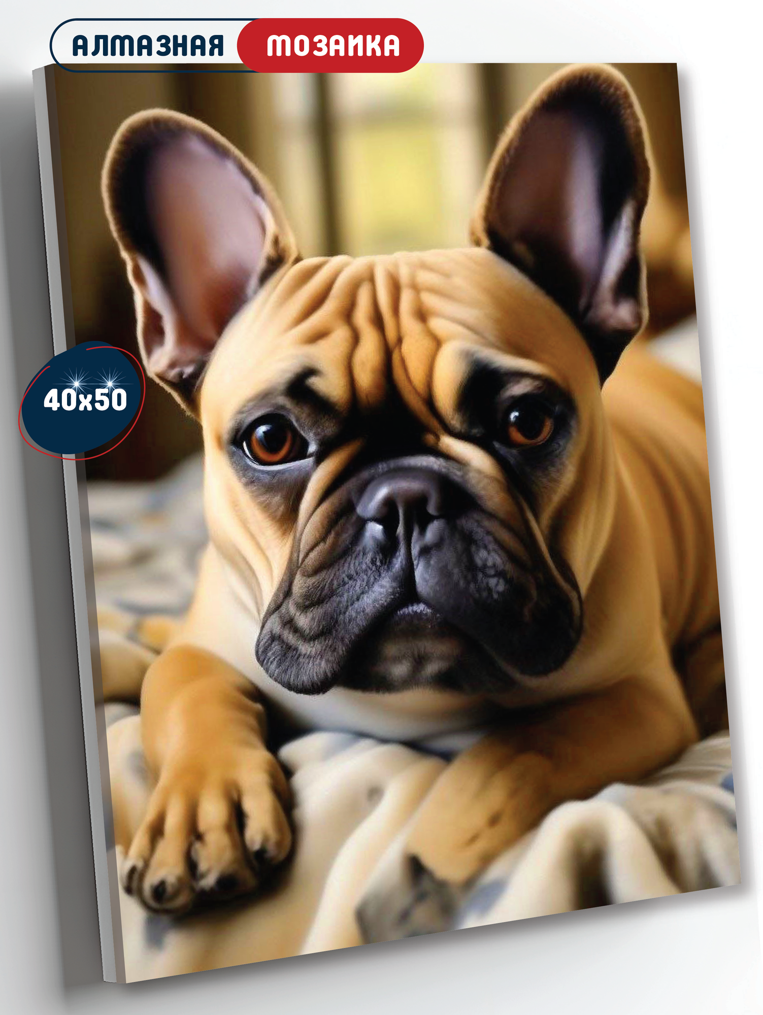 Алмазная мозаика на подрамнике "Французский бульдог" 40х50 Полная выкладка