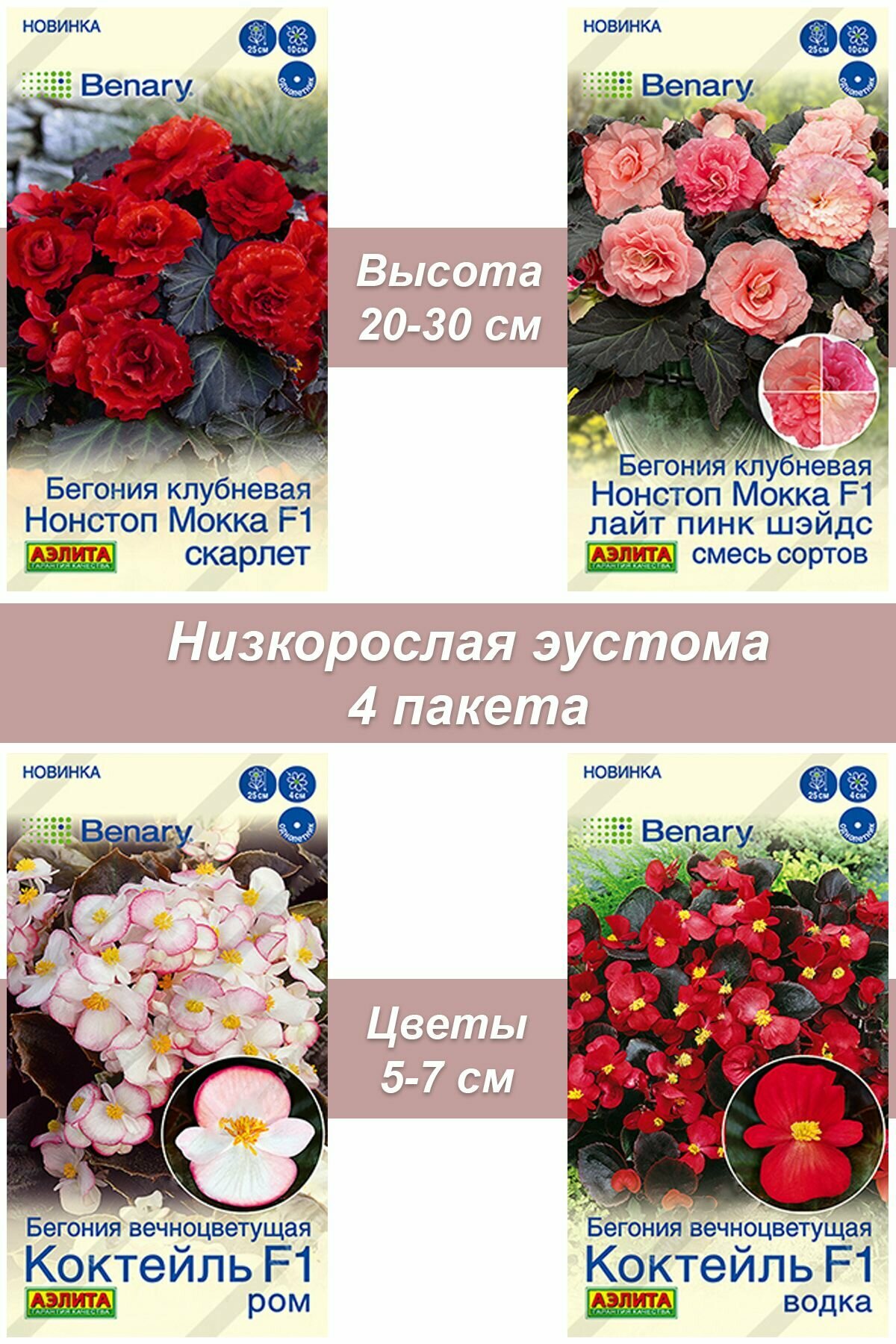 Семена комнатных растений Бегония