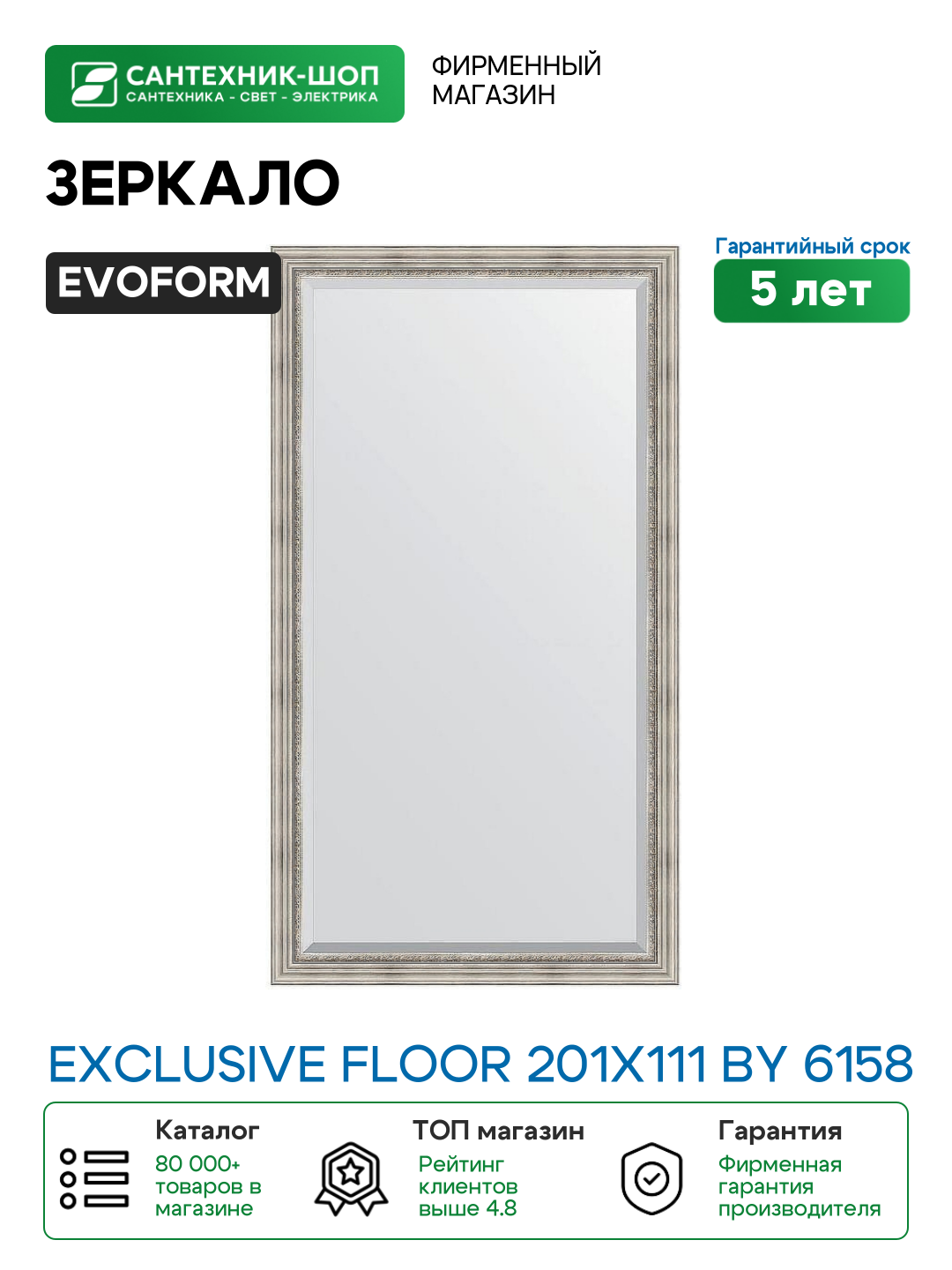 Зеркало Evoform Exclusive Floor 201х111 BY 6158 с фацетом в багетной раме - Римское серебро 88 мм стекло